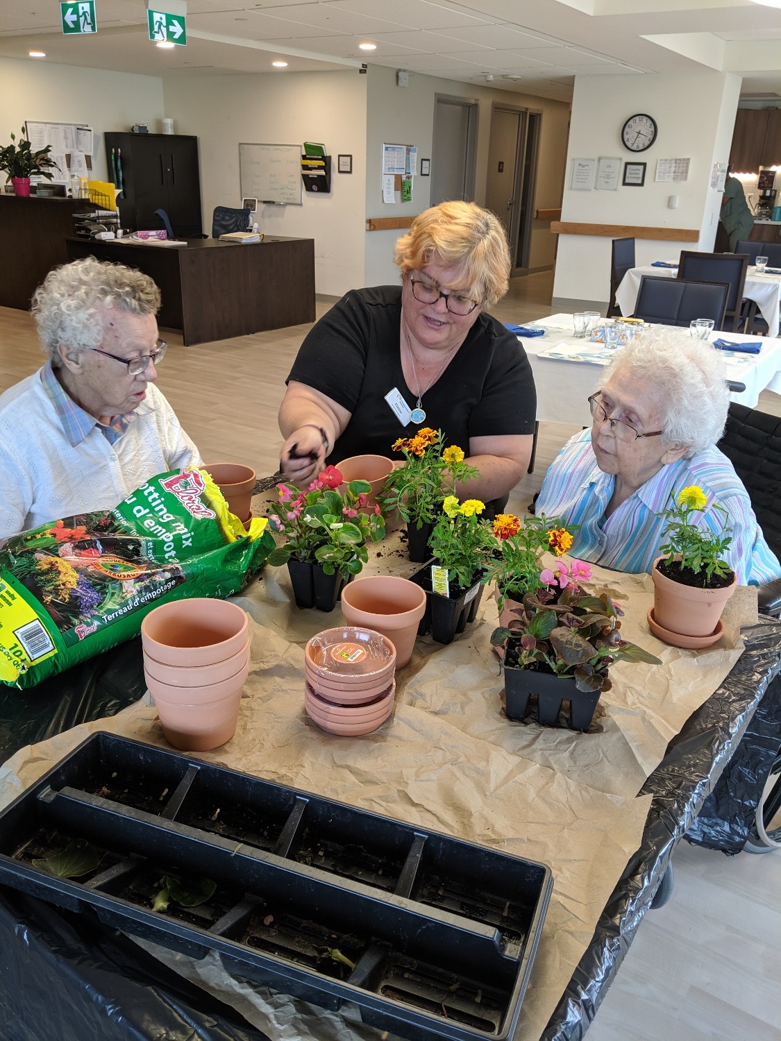 Recreation Program | Presentation Manor